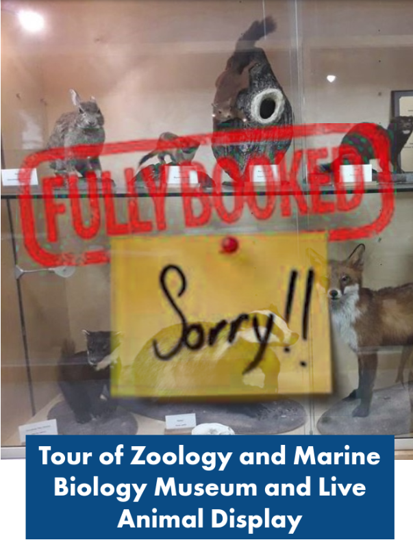 Tour of Zoology and Marine Biology Museum and Live Animal Display ...