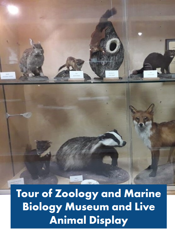 Tour of Zoology and Marine Biology Museum and Live Animal Display ...